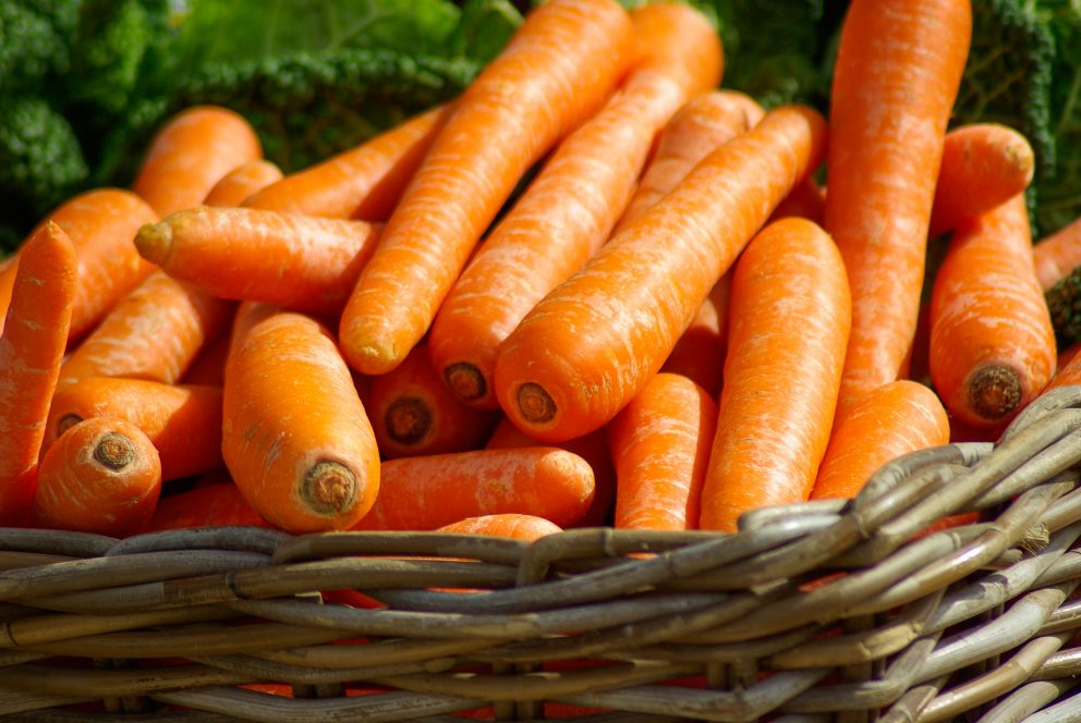La Carota nell'orto d'autunno: come coltivarla in modo semplice