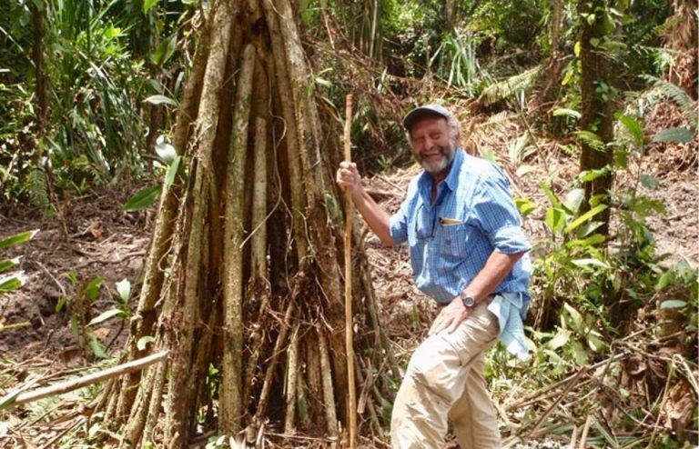 Pandanus Candelabrum, la pianta africana che cresce sopra i diamanti