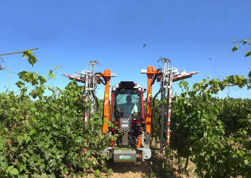 Cimatrici da vigneto: come funzionano e a cosa servono