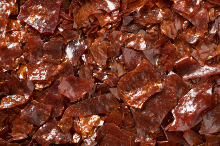 Ruggine delle rose: riconoscerla, curarla e prevenirla